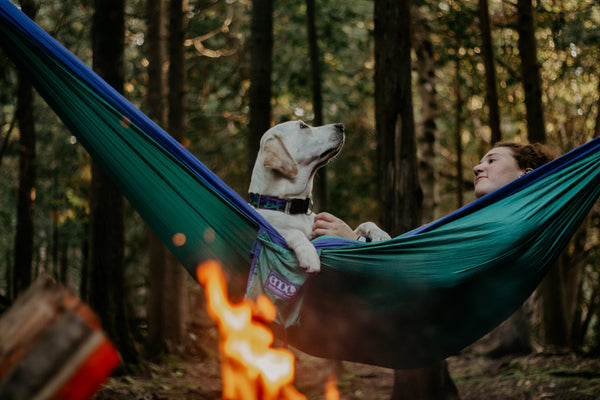 Arkell Canoes through Algonquin Park